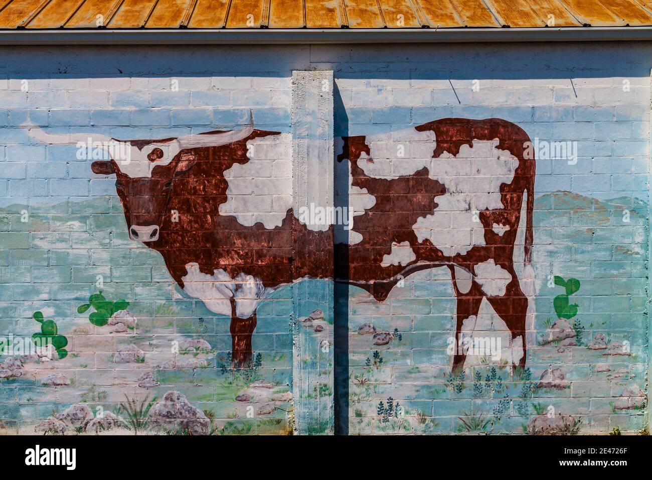 Mural of a Longhorn Steer, Bandera, Texas, USA Stock Photo - Alamy