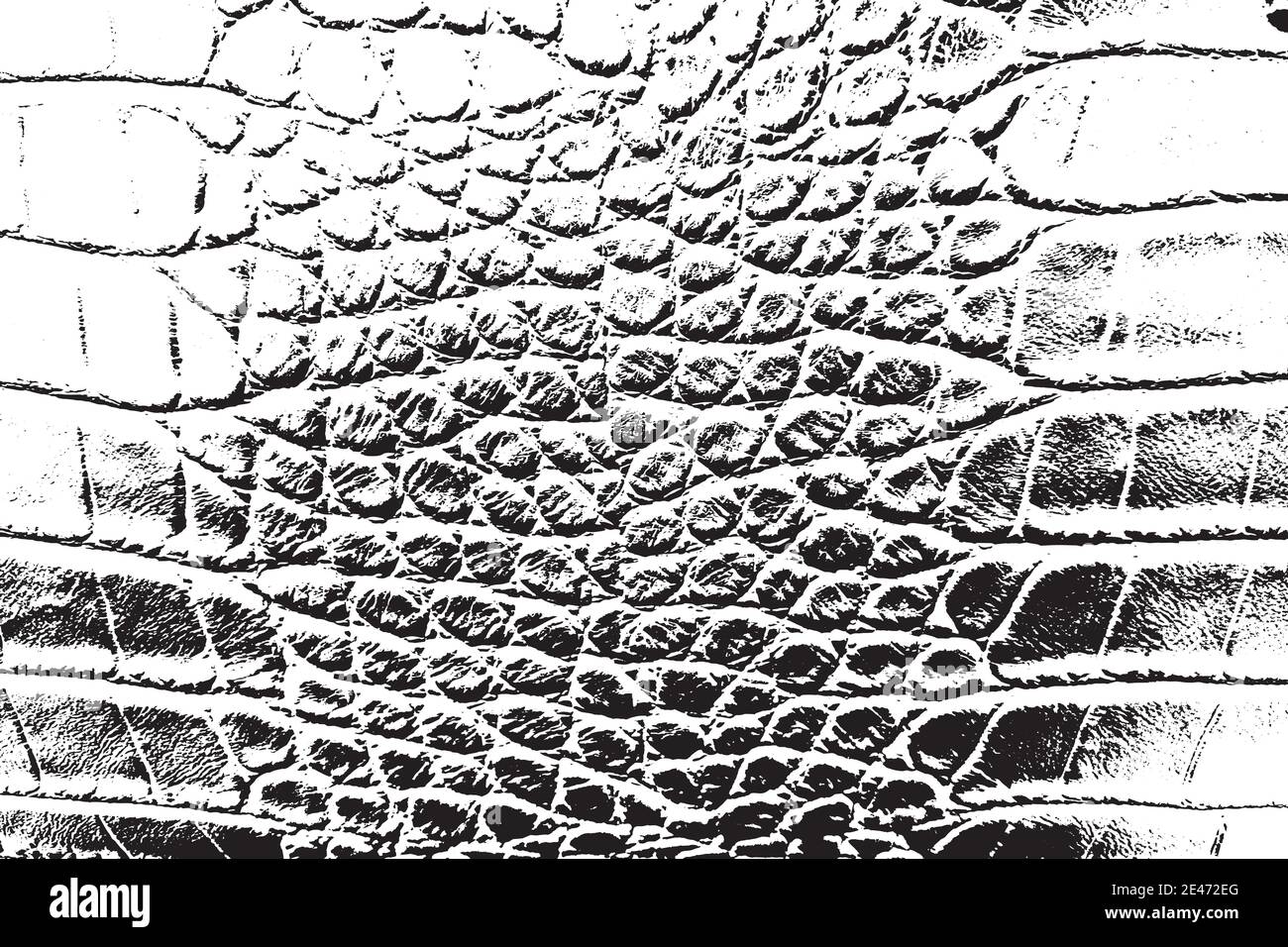 Skin Overlay Texture Stock Vector Image & Art - Alamy