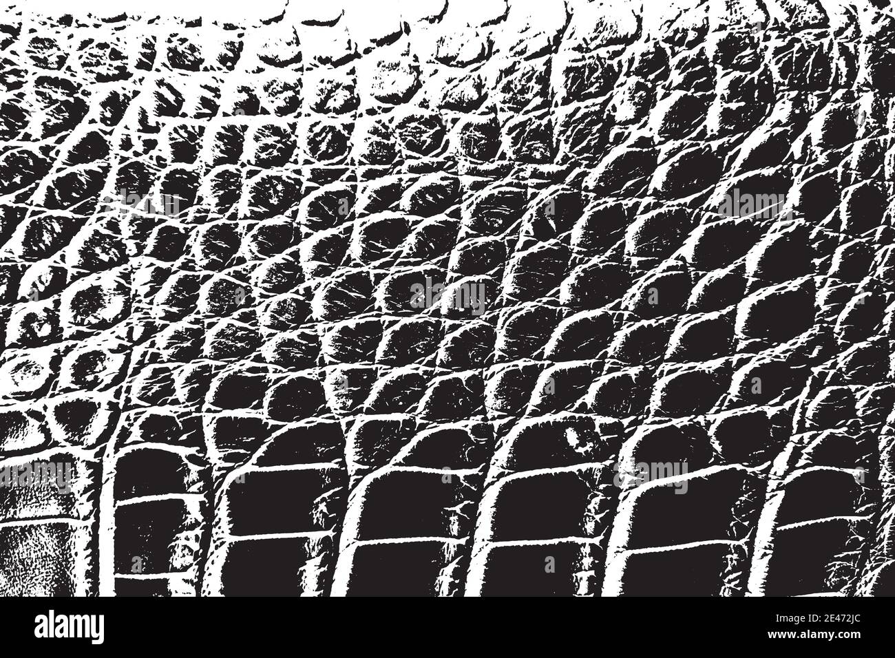 Skin Overlay Texture Stock Vector Image & Art - Alamy