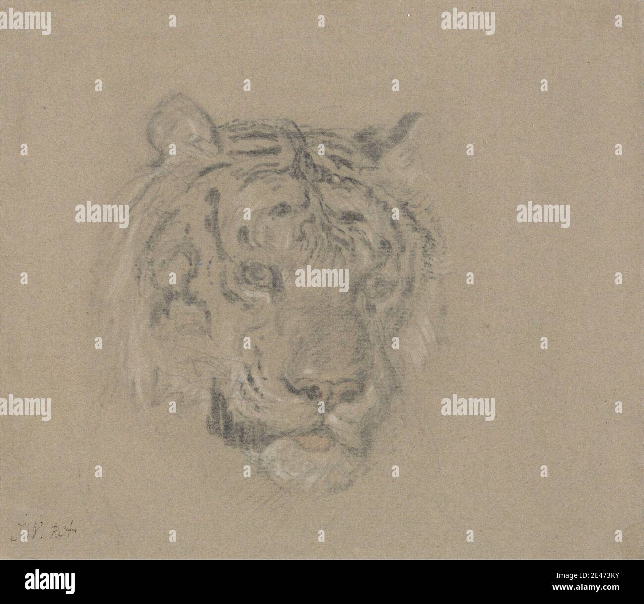 James Ward, 1769–1859, British, Head of a Tiger, undated. Black chalk ...