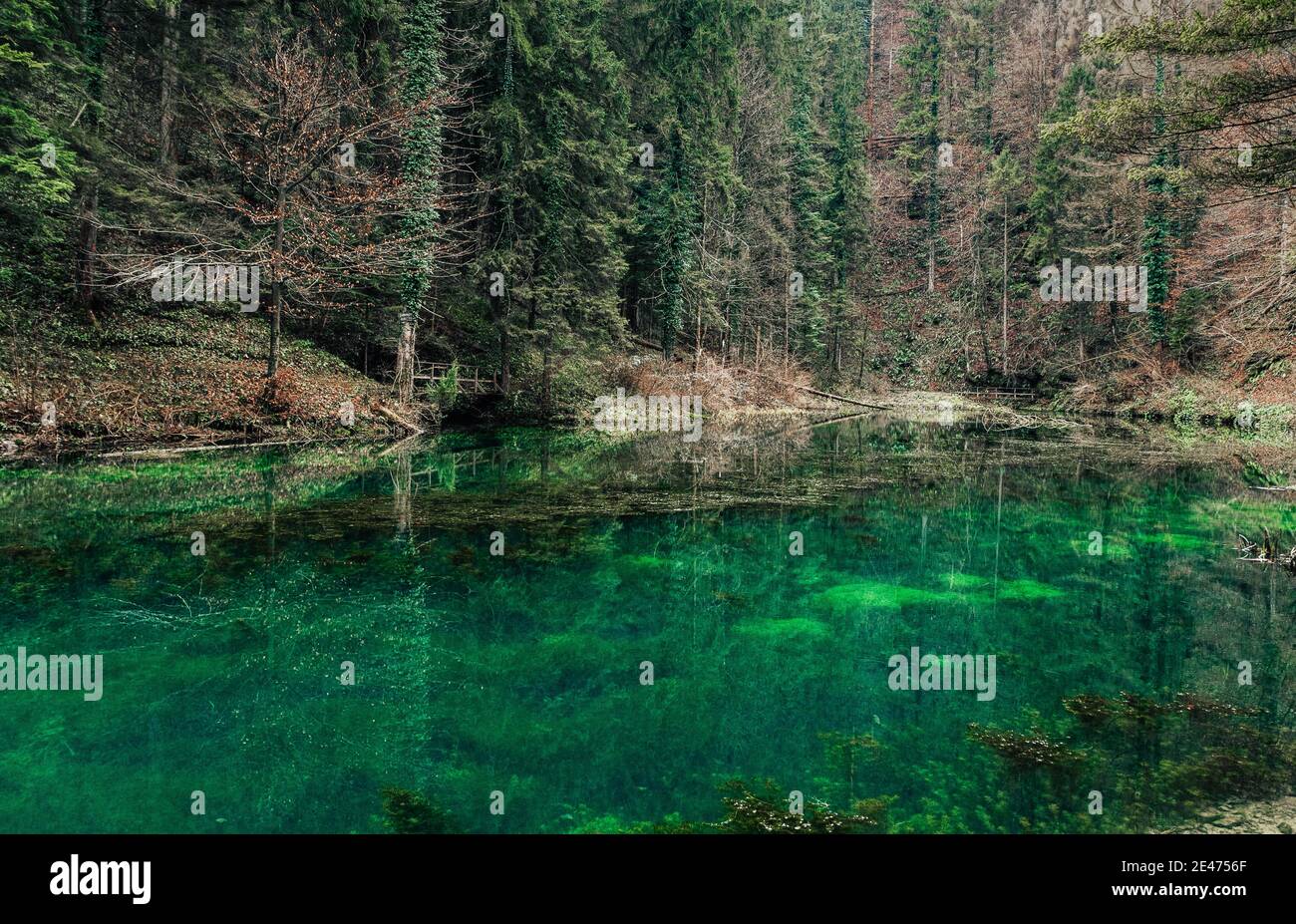 Mesmerizing turquoise pond in the forest Stock Photo - Alamy Mesmerizing turquoise pond in the forest Stock Photo - Alamy
