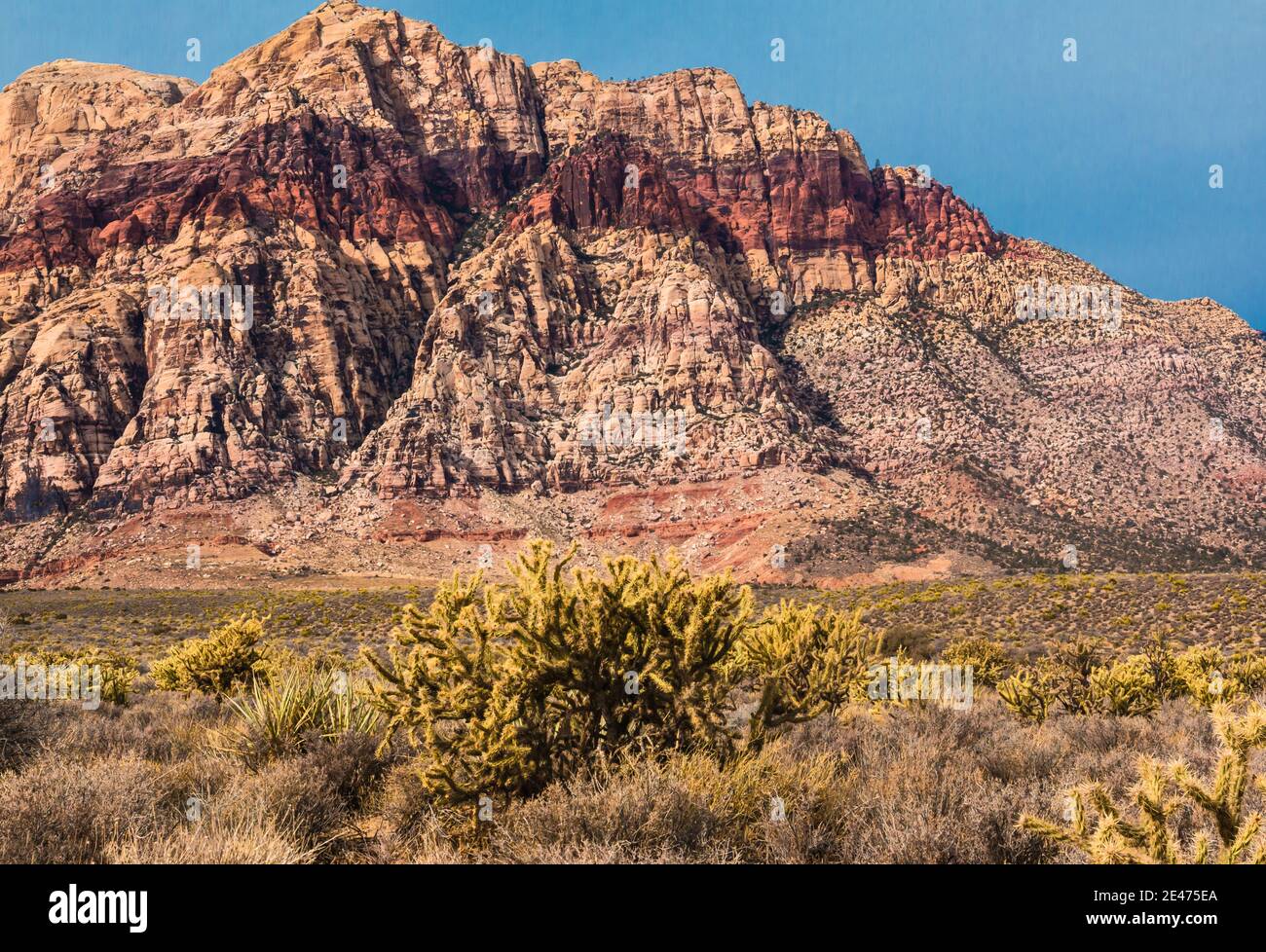 Aztec cactus hi-res stock photography and images - Alamy