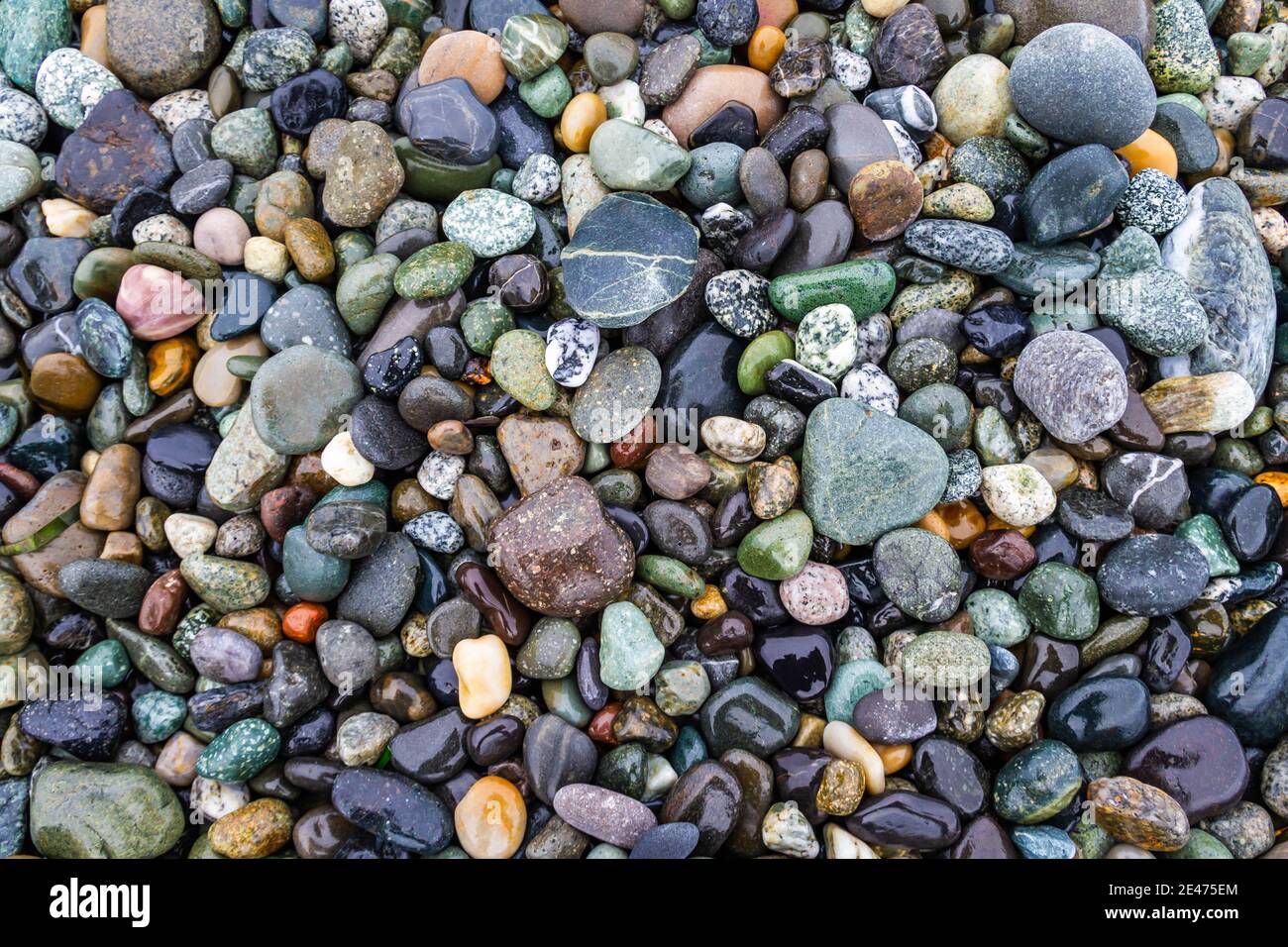 Colorful smooth rocks on the beach covered in water Stock Photo - Alamy