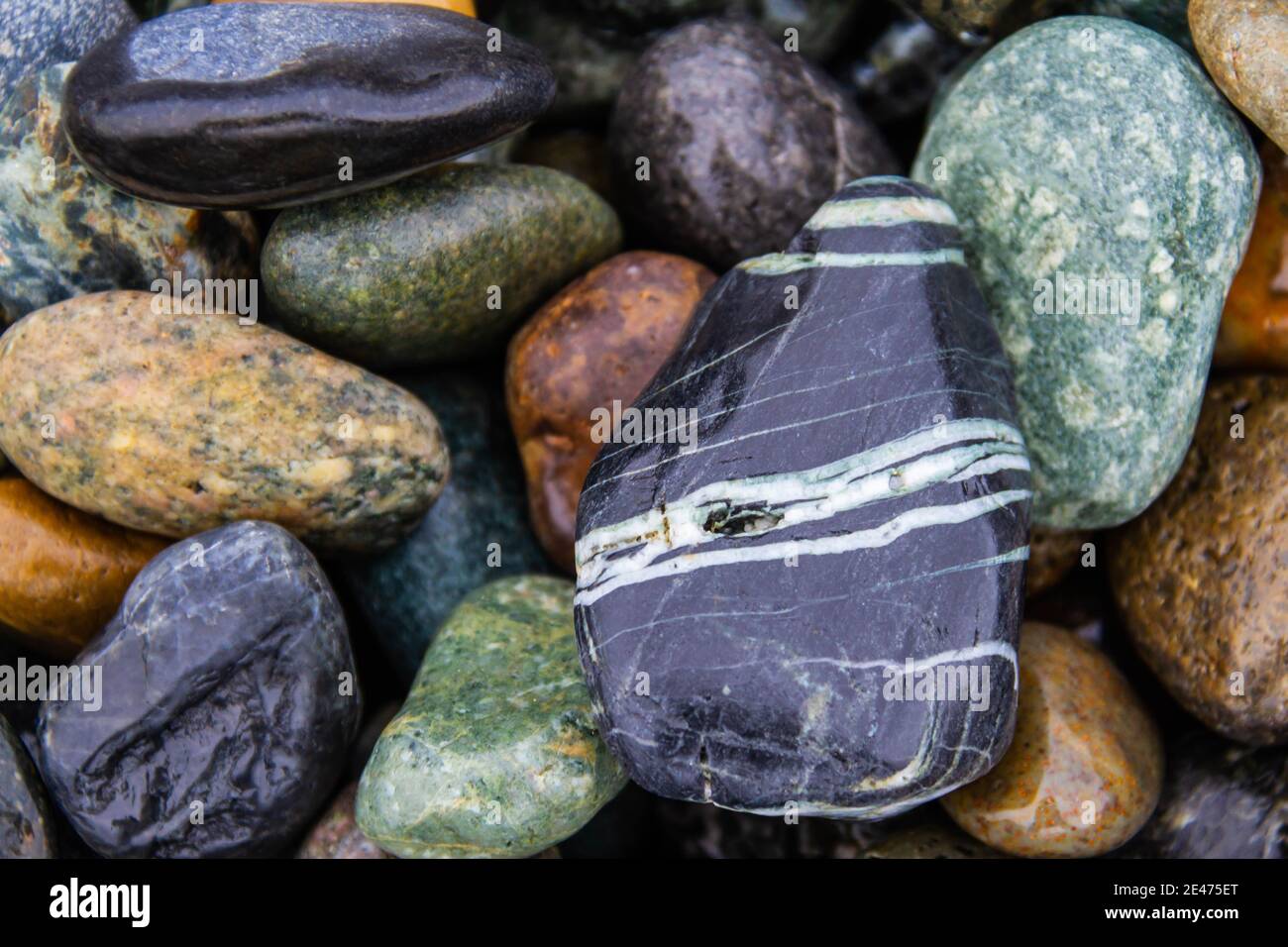 Colorful smooth rocks on the beach covered in water Stock Photo - Alamy