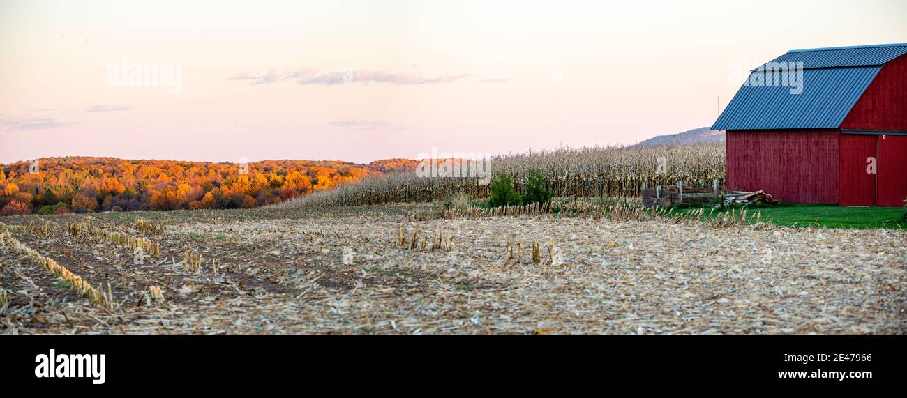 Corn field barn hi-res stock photography and images - Alamy