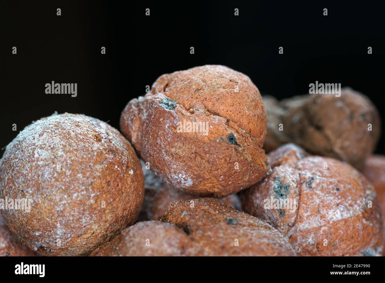 Munchkins hi-res stock photography and images - Alamy