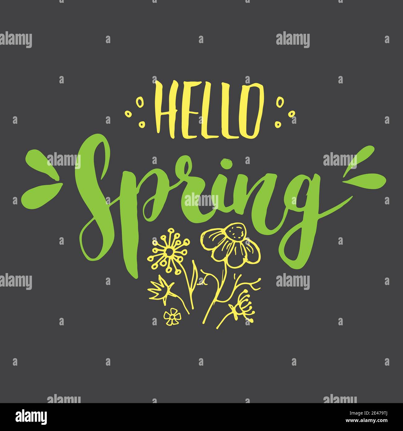 Hello Spring Calligraphy lettering handwritten sign, Hand drawn grunge ...