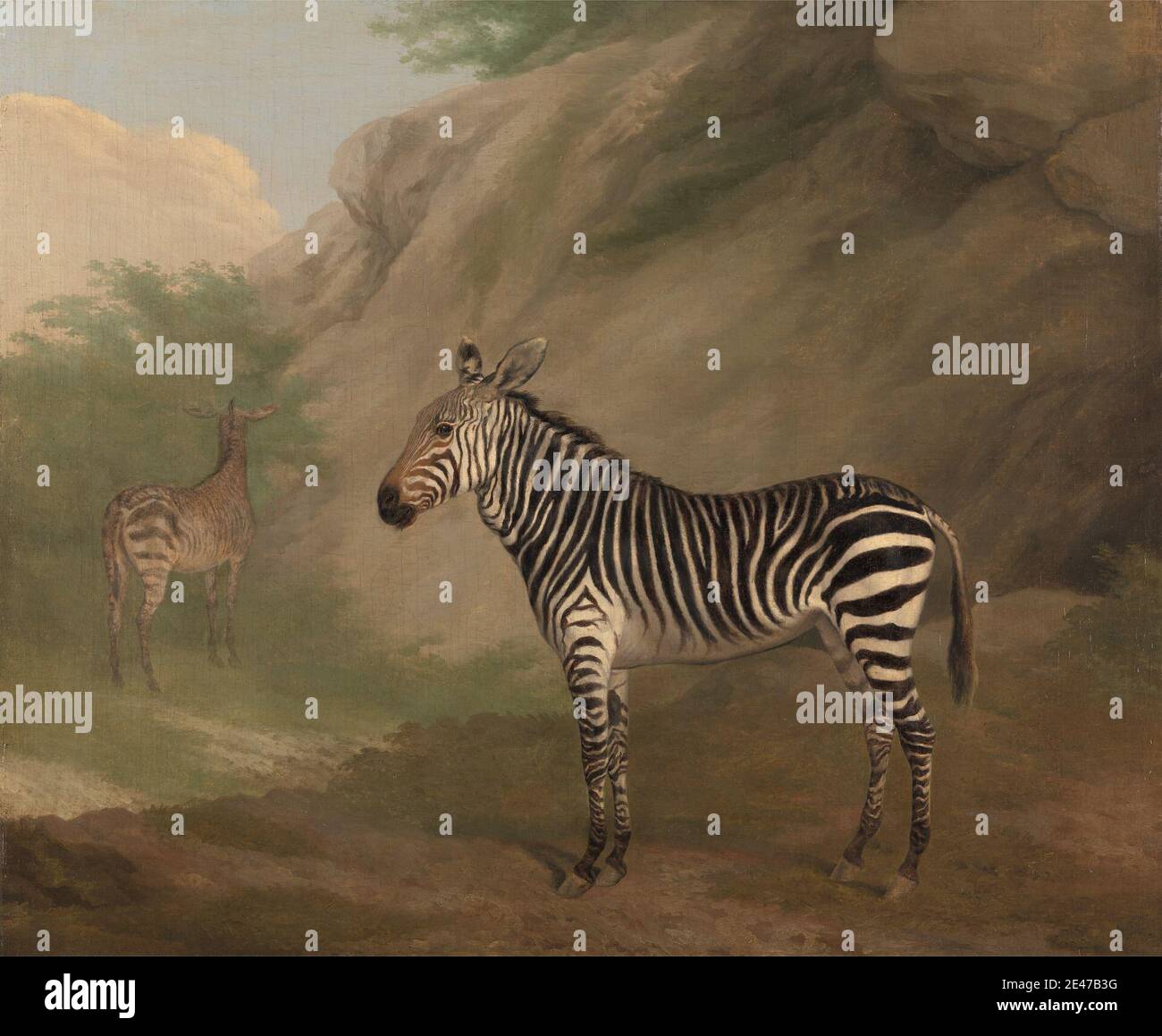 Agasse hi-res stock photography and images - Alamy