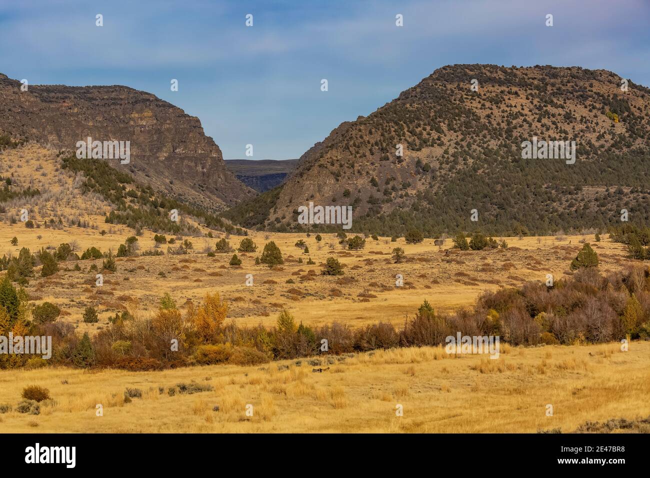 Setting for the Riddle Brothers Ranch on Steens Mountain, which is ...