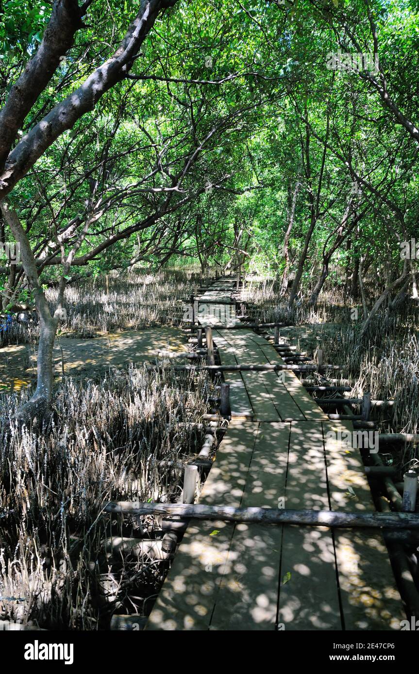 Long Wooden Pathway Stock Photo - Alamy