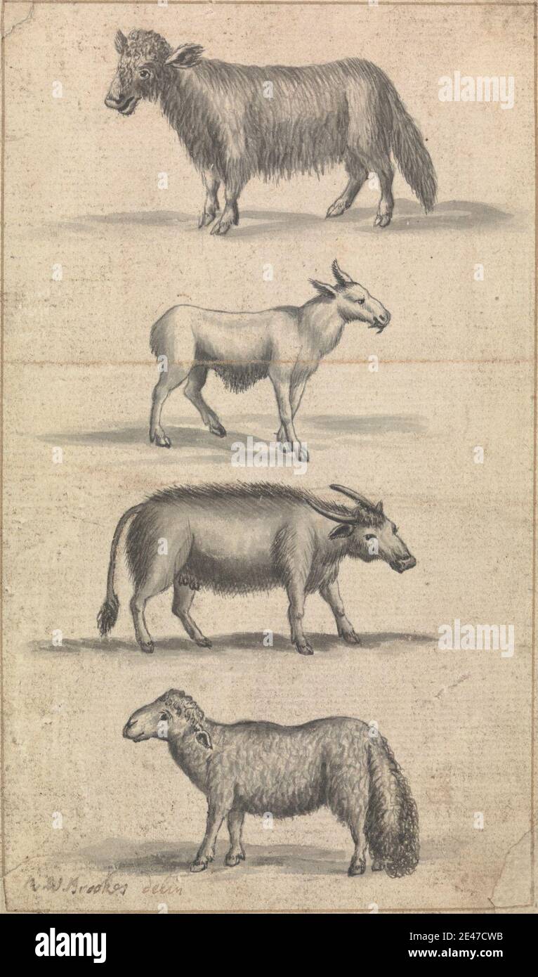 Richard Brookes, 1721–1763, Sheep, and Three Animals, ca. 1760. Pen and ...
