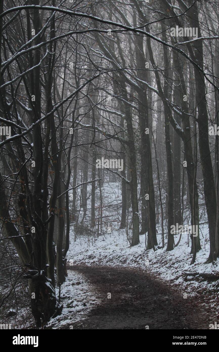 Closeup shot narrow pathway hi-res stock photography and images - Alamy