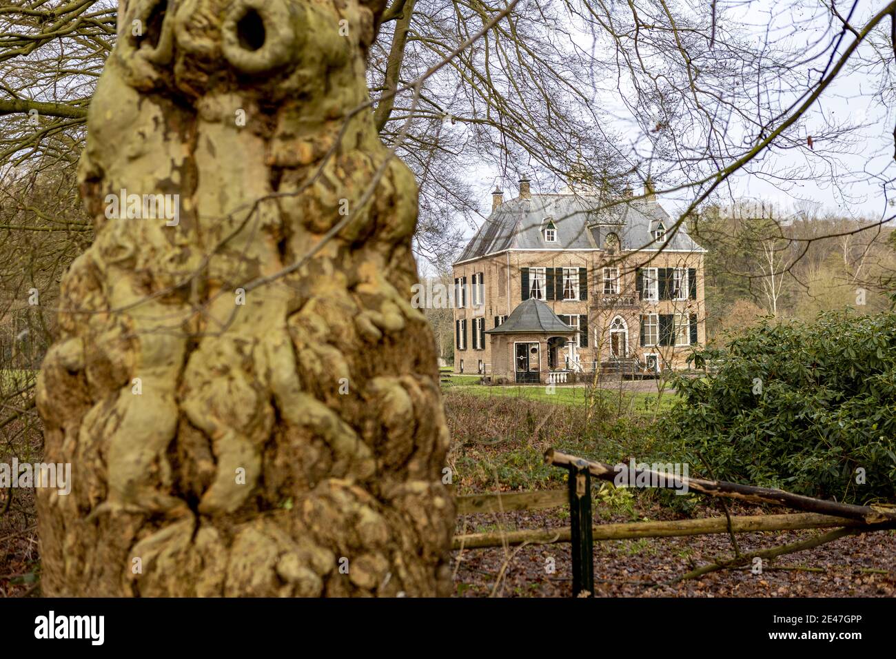 Bewitched tree hi-res stock photography and images - Alamy