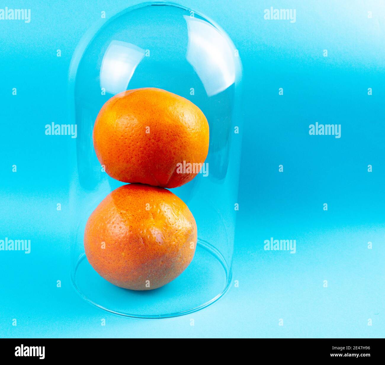 Closeup shot of two oranges inside a glass isolated on blue background ...