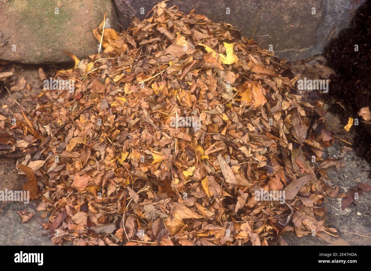 Mulch to retain moisture hi-res stock photography and images - Alamy