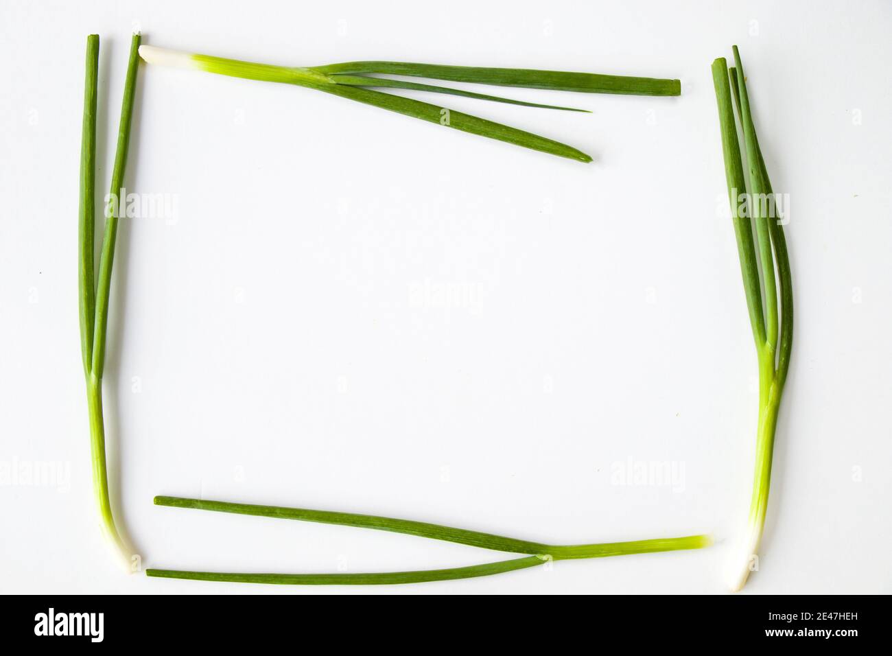 Green onions forming a square isolated on a white background Stock ...