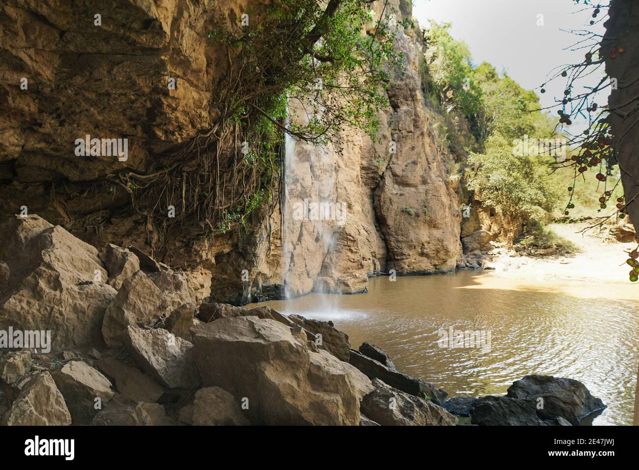 Makalia hi-res stock photography and images - Alamy