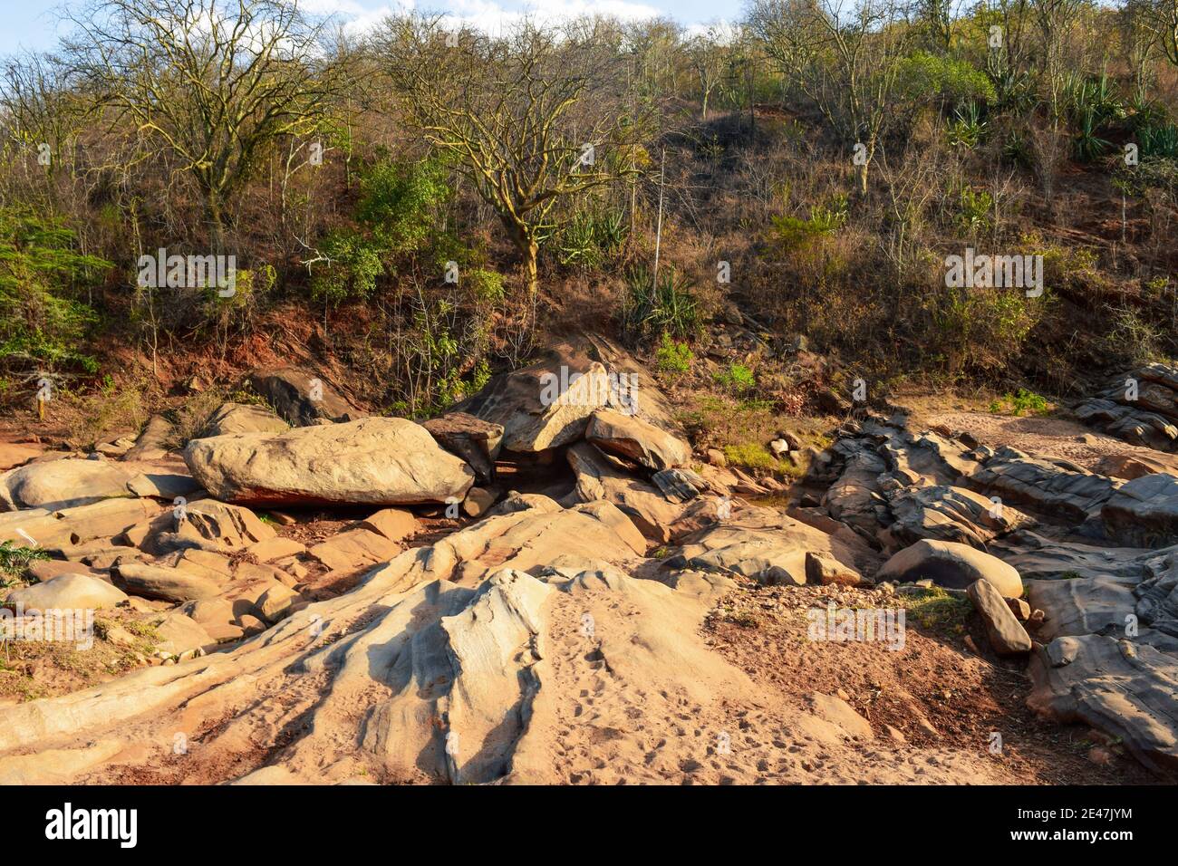 A dry river bed in rural Kenya Stock Photo - Alamy