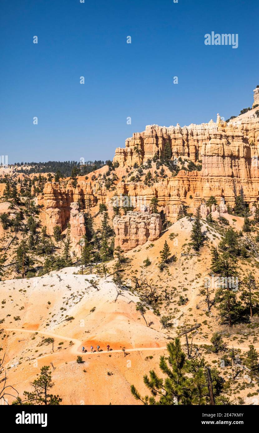 A group of four people hiking the Fairyland Loop Trail in Bryce Canyon ...