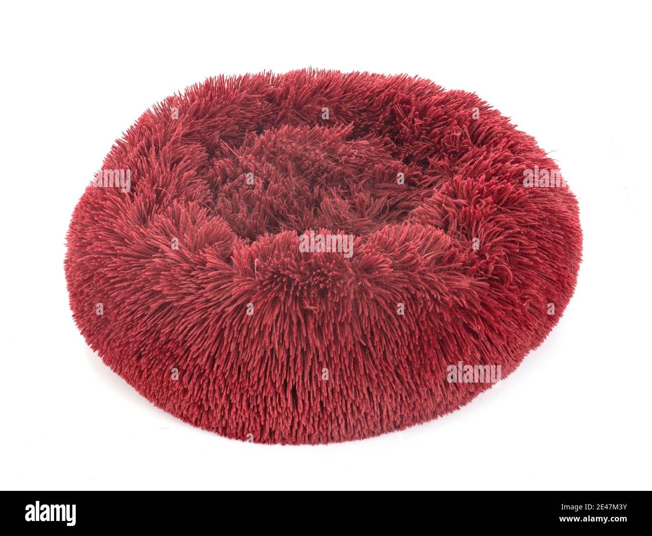 red dog bed in front of white background Stock Photo - Alamy