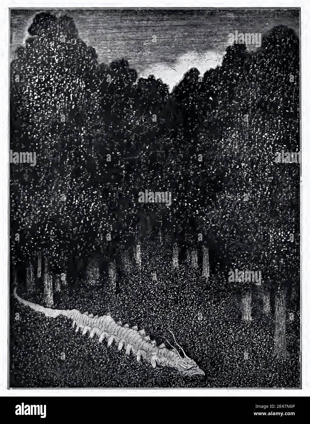 Sime hi-res stock photography and images - Alamy