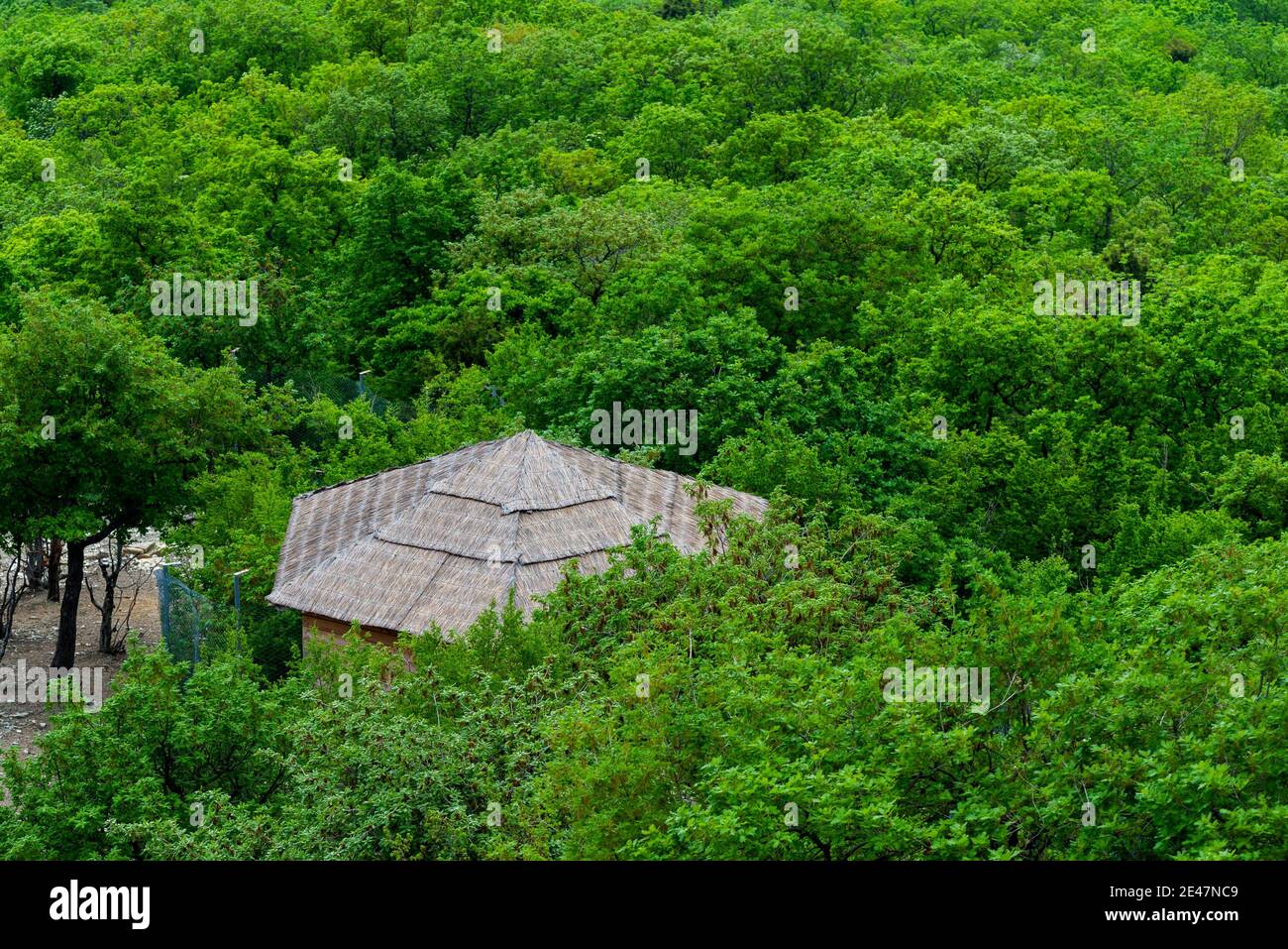 Aerial view on roof of small hut with a roof by natural materials in ...