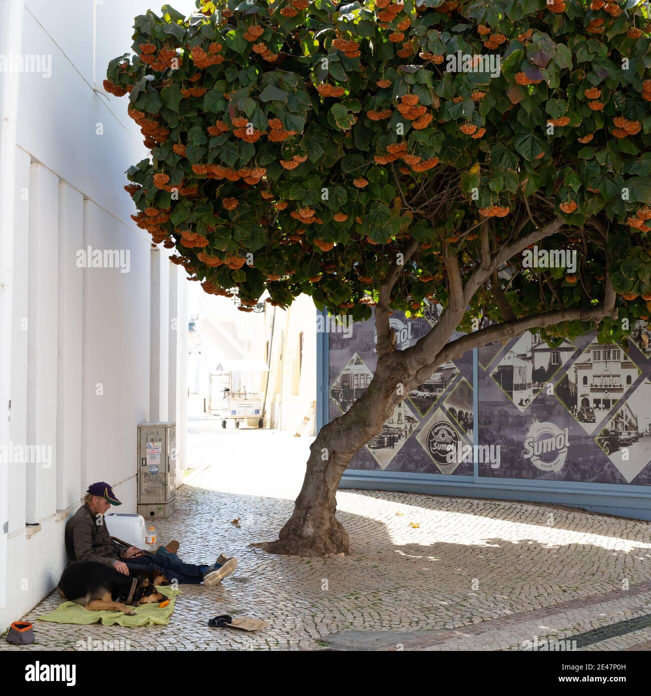 Homeless in lagos hi-res stock photography and images - Alamy