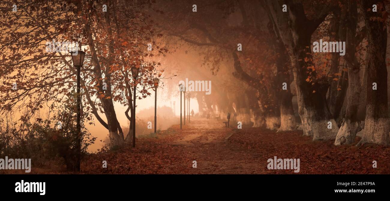 Beauty of the autumn in night Stock Photo - Alamy
