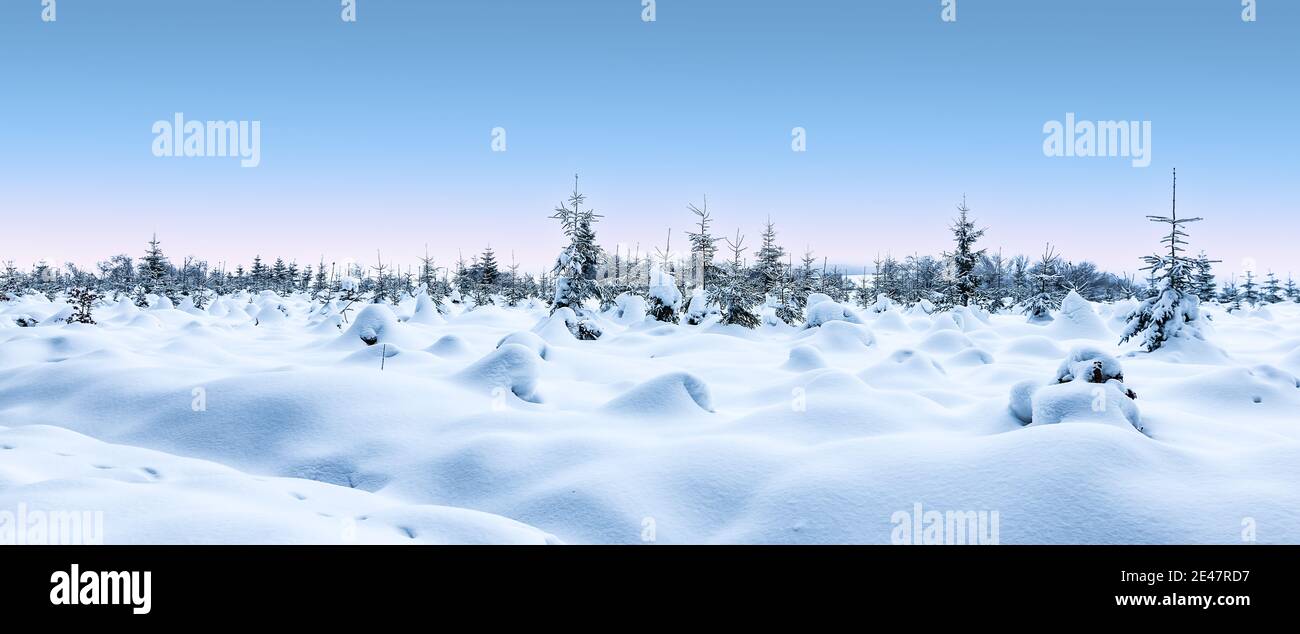 Ice snow scene stunning trees hi-res stock photography and images - Alamy