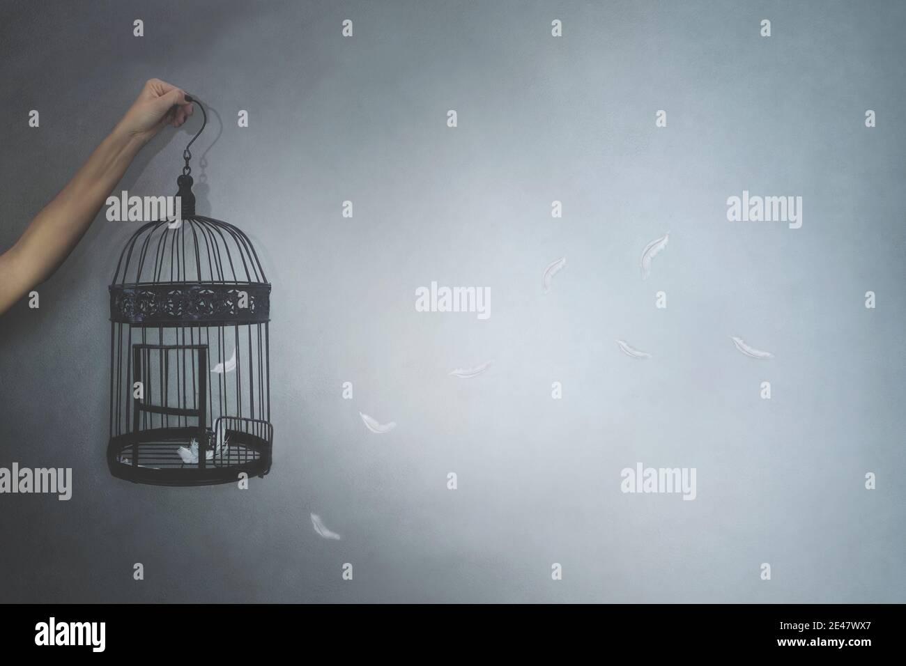 Person holding bird cage hi-res stock photography and images - Alamy