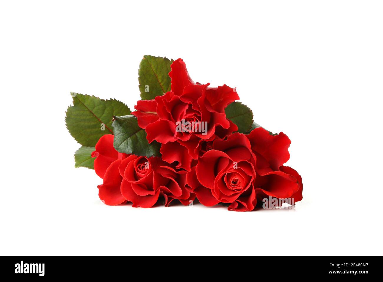 Beautiful red roses isolated on white background Stock Photo - Alamy