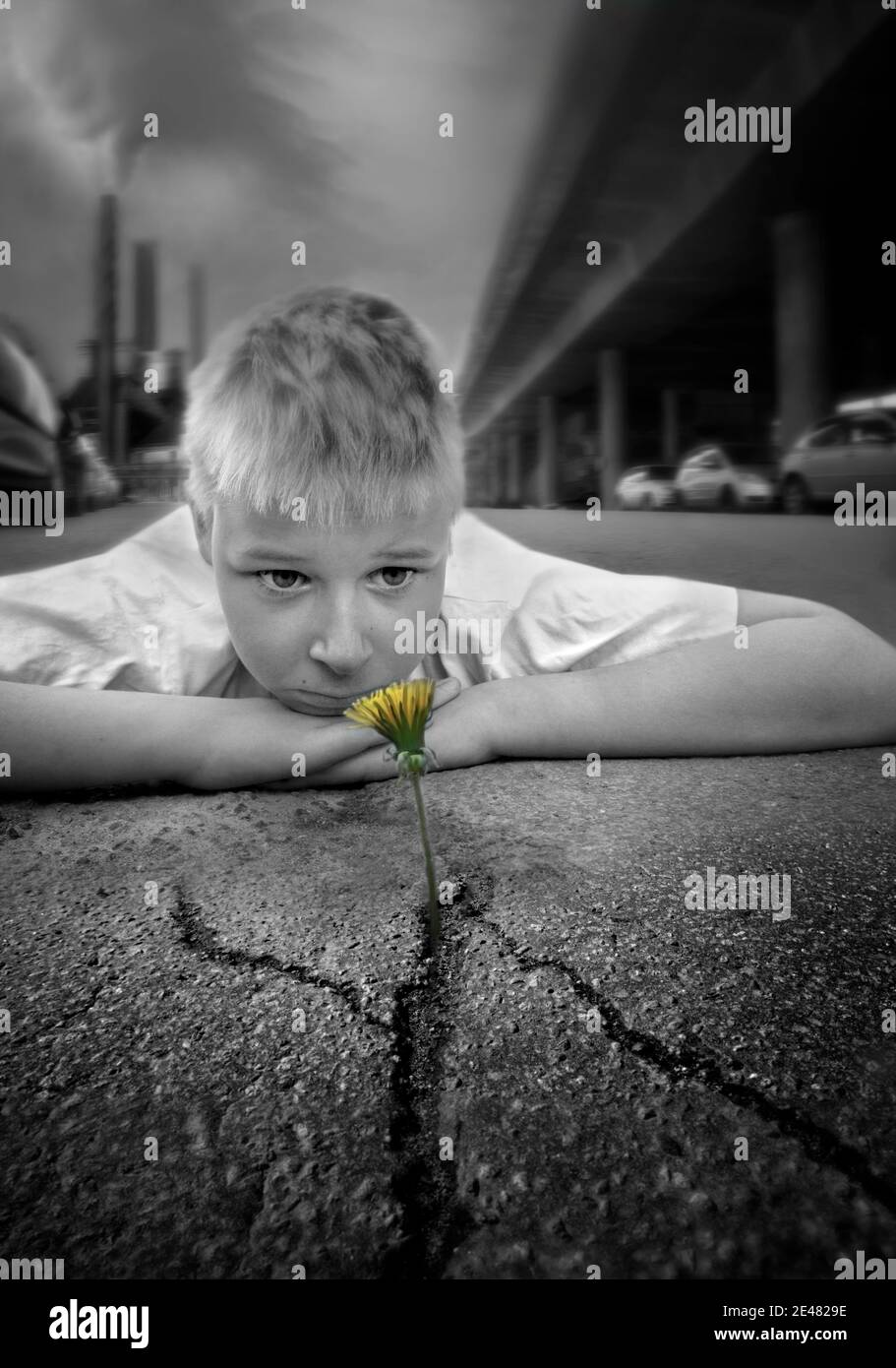 Boy and a flower Stock Photo - Alamy
