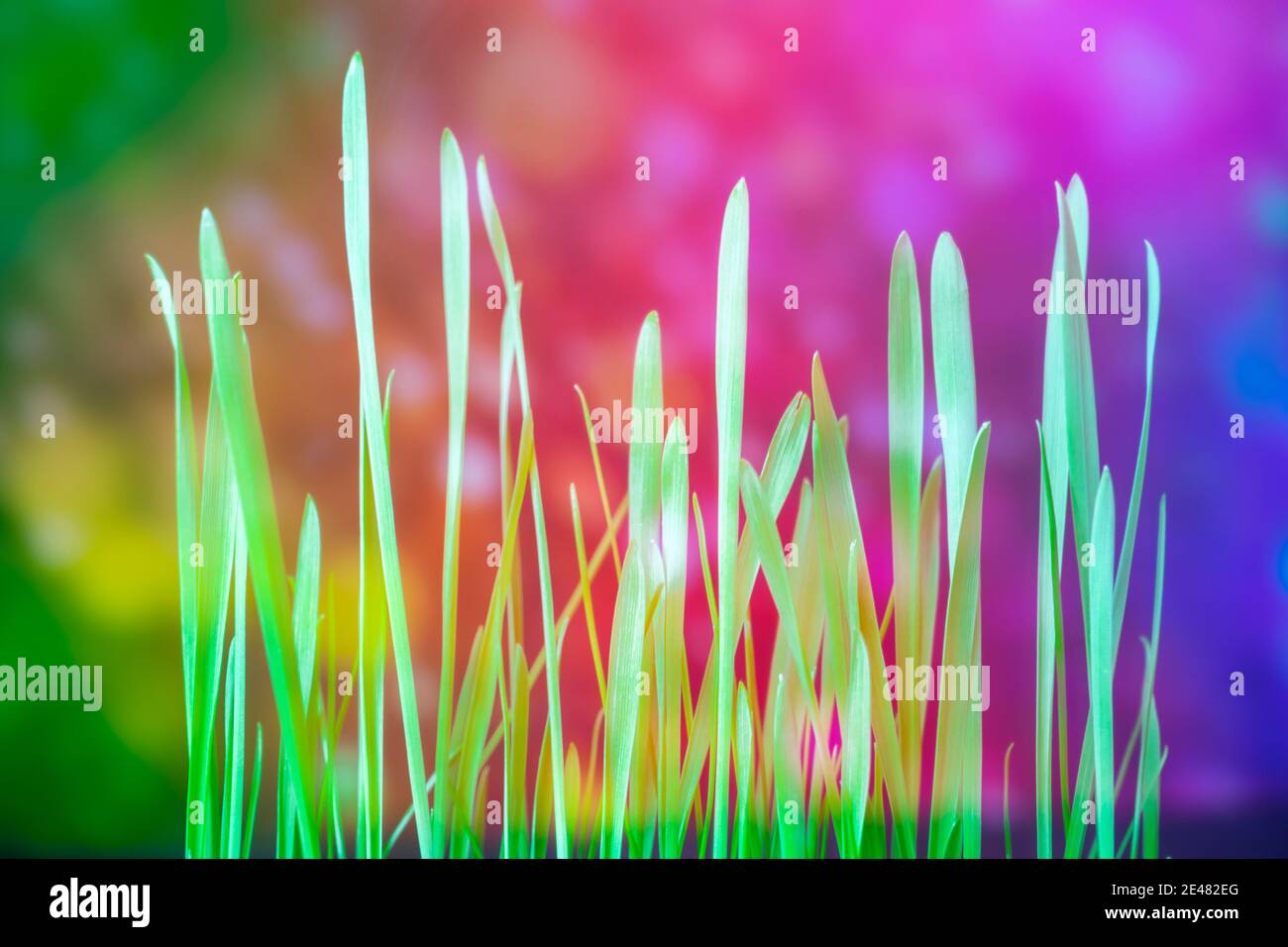 Fabulous dream hi-res stock photography and images - Alamy