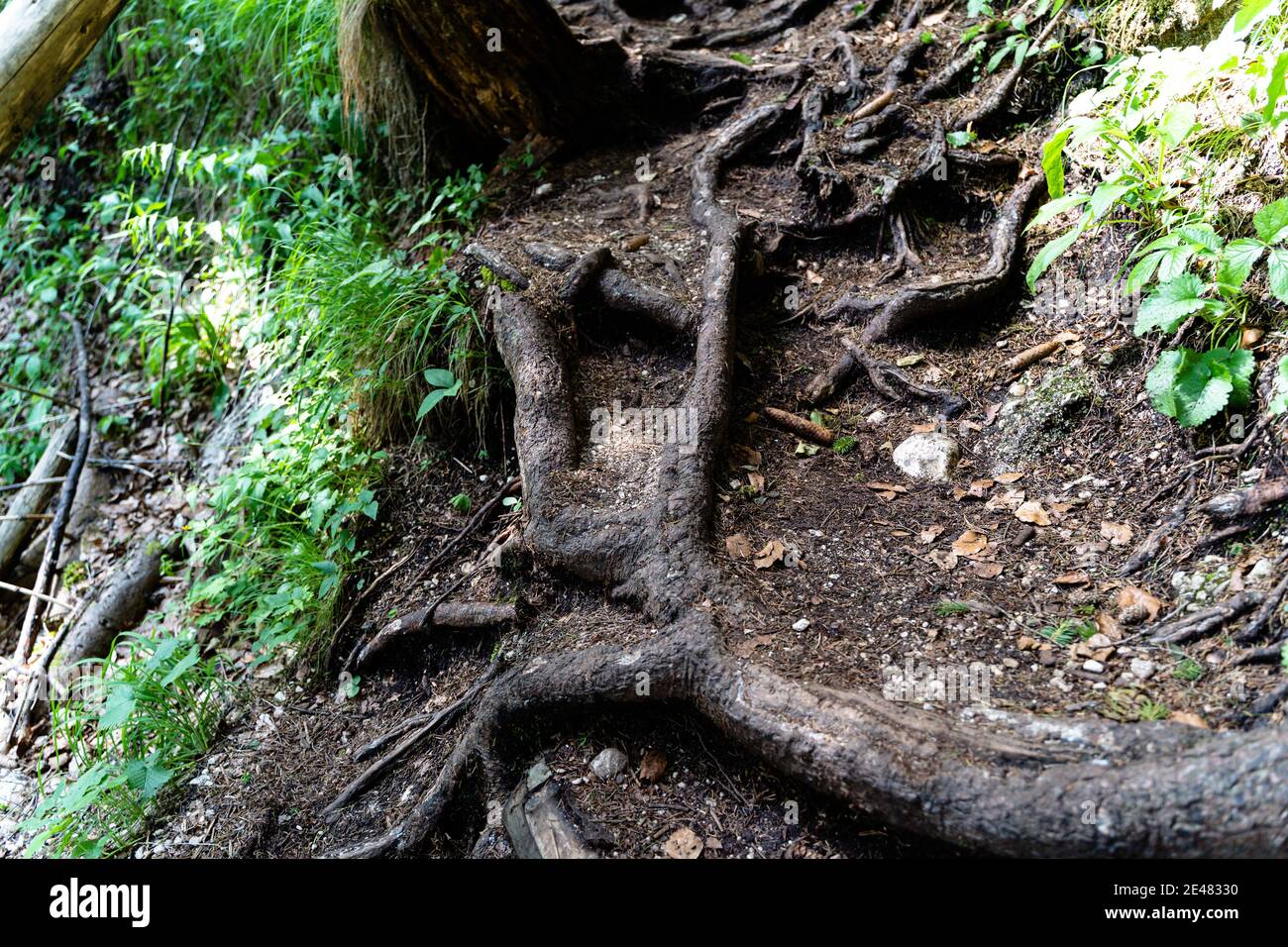 Structured nature hi-res stock photography and images - Alamy