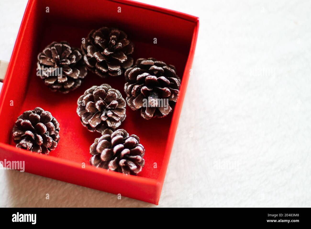 Bright red box full of pine cones isolated on a white background Stock ...