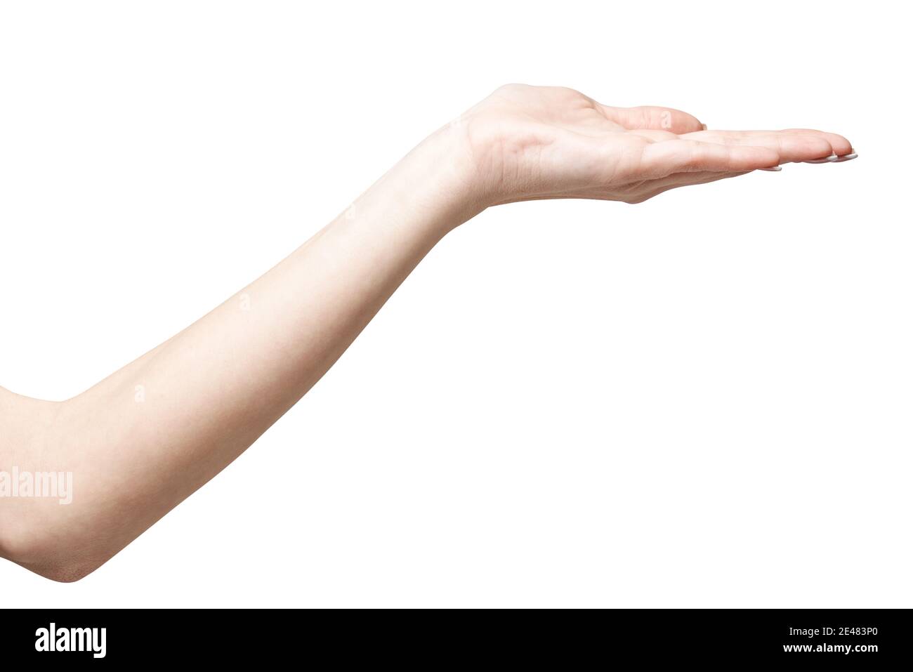 female hand poiting by finger isolated on white background with ...