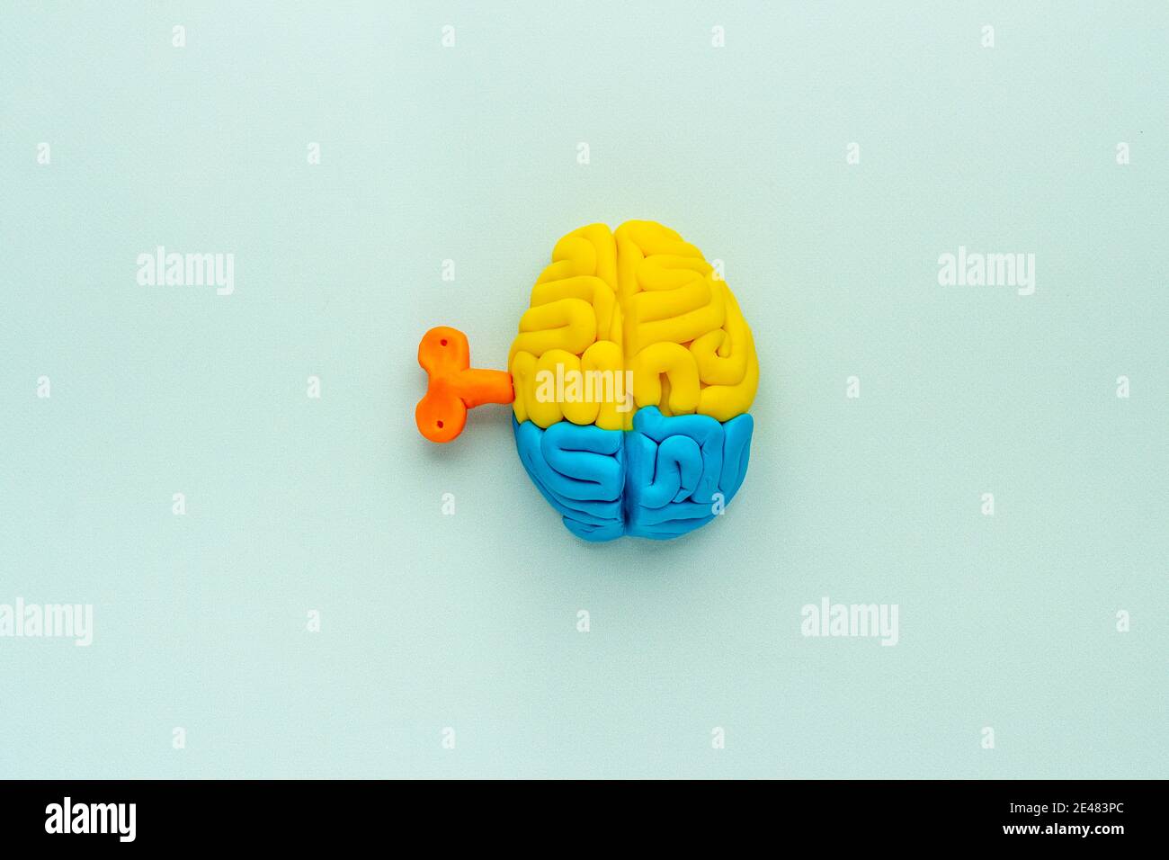 Brain charging and mental health concept. Model of human brain, top ...