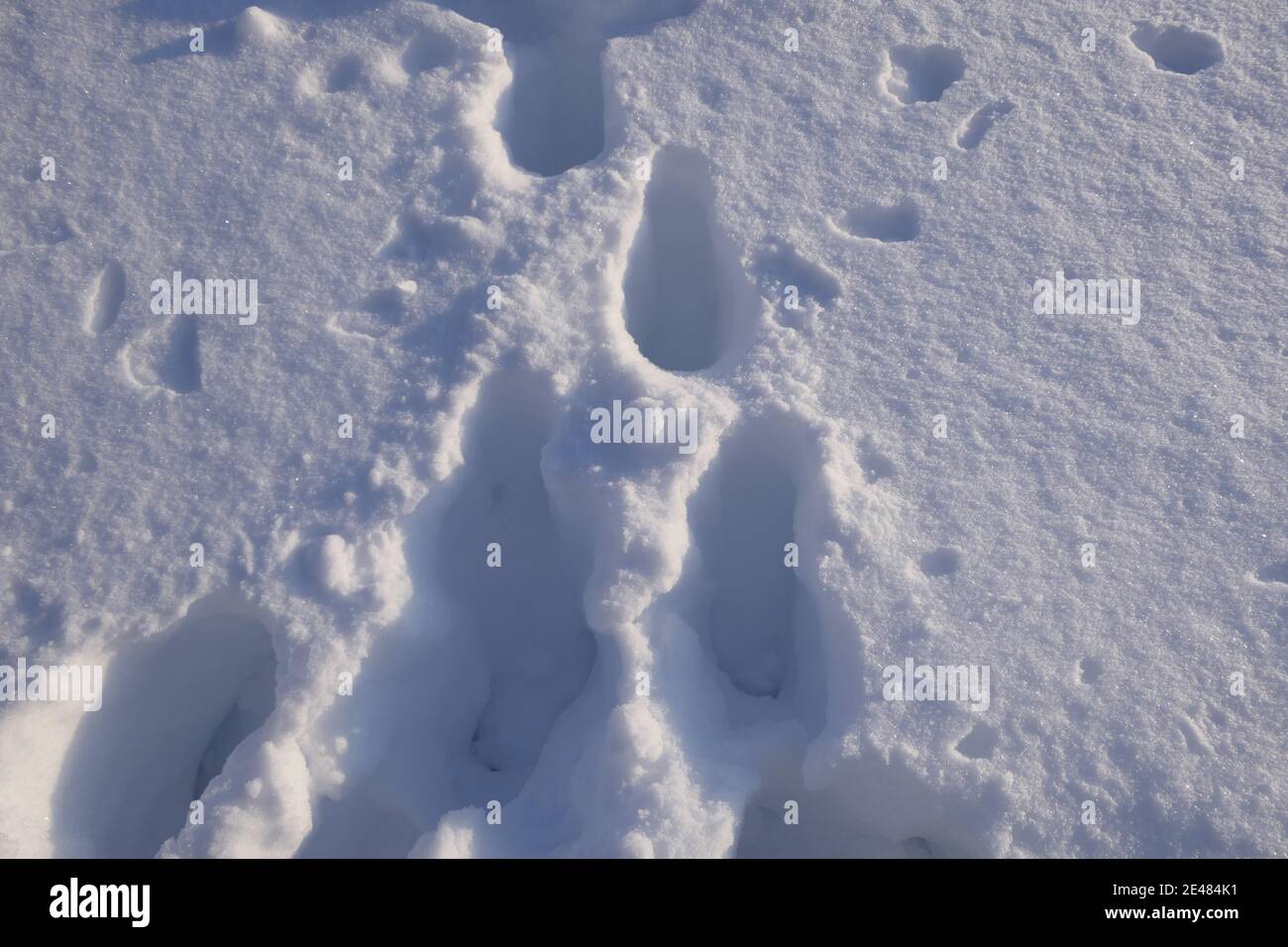 Light tracing hi-res stock photography and images - Alamy