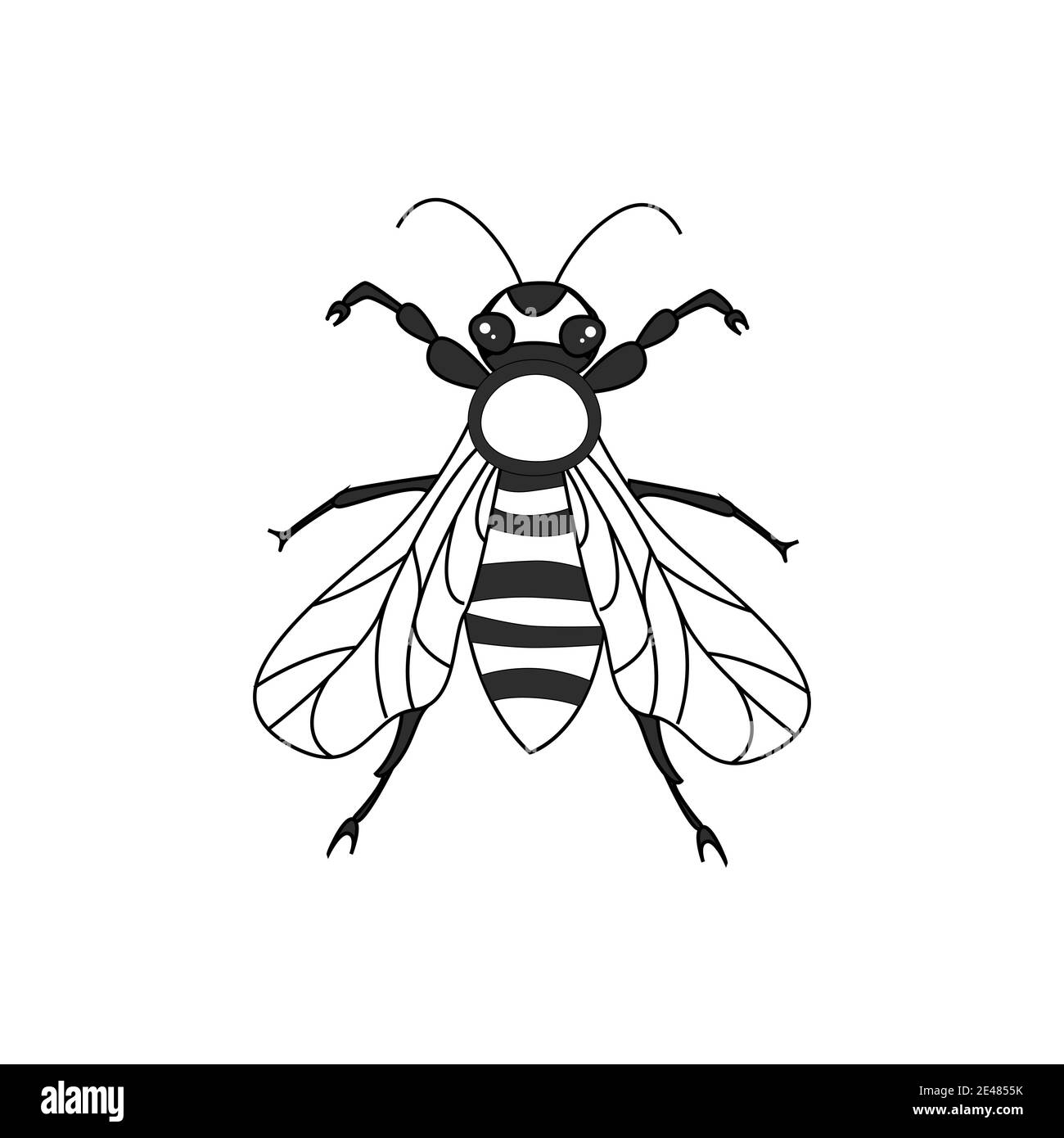 Vector bee isolated Stock Vector Image & Art - Alamy