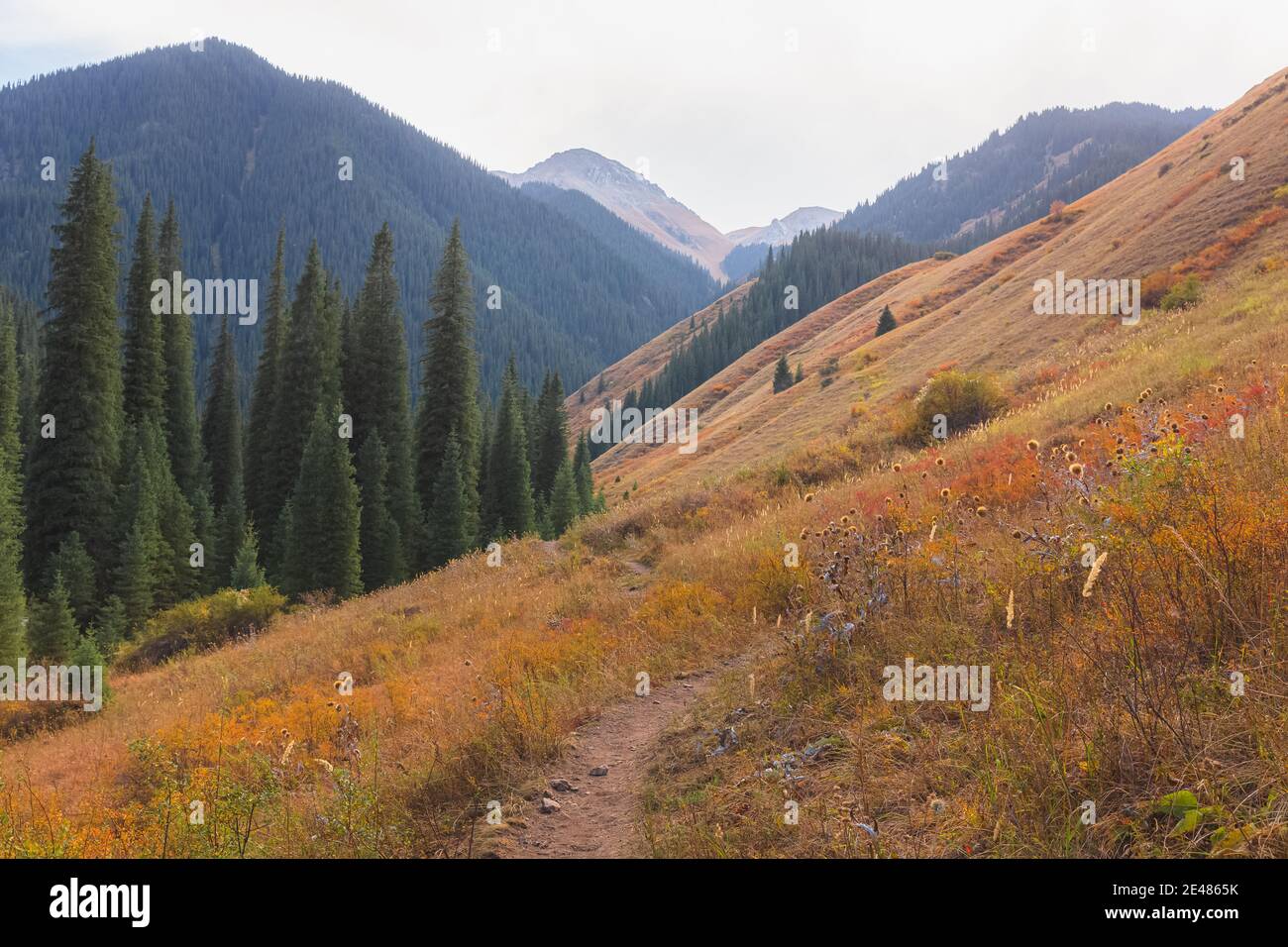 North slope of the tian shan mountains hi-res stock photography and ...