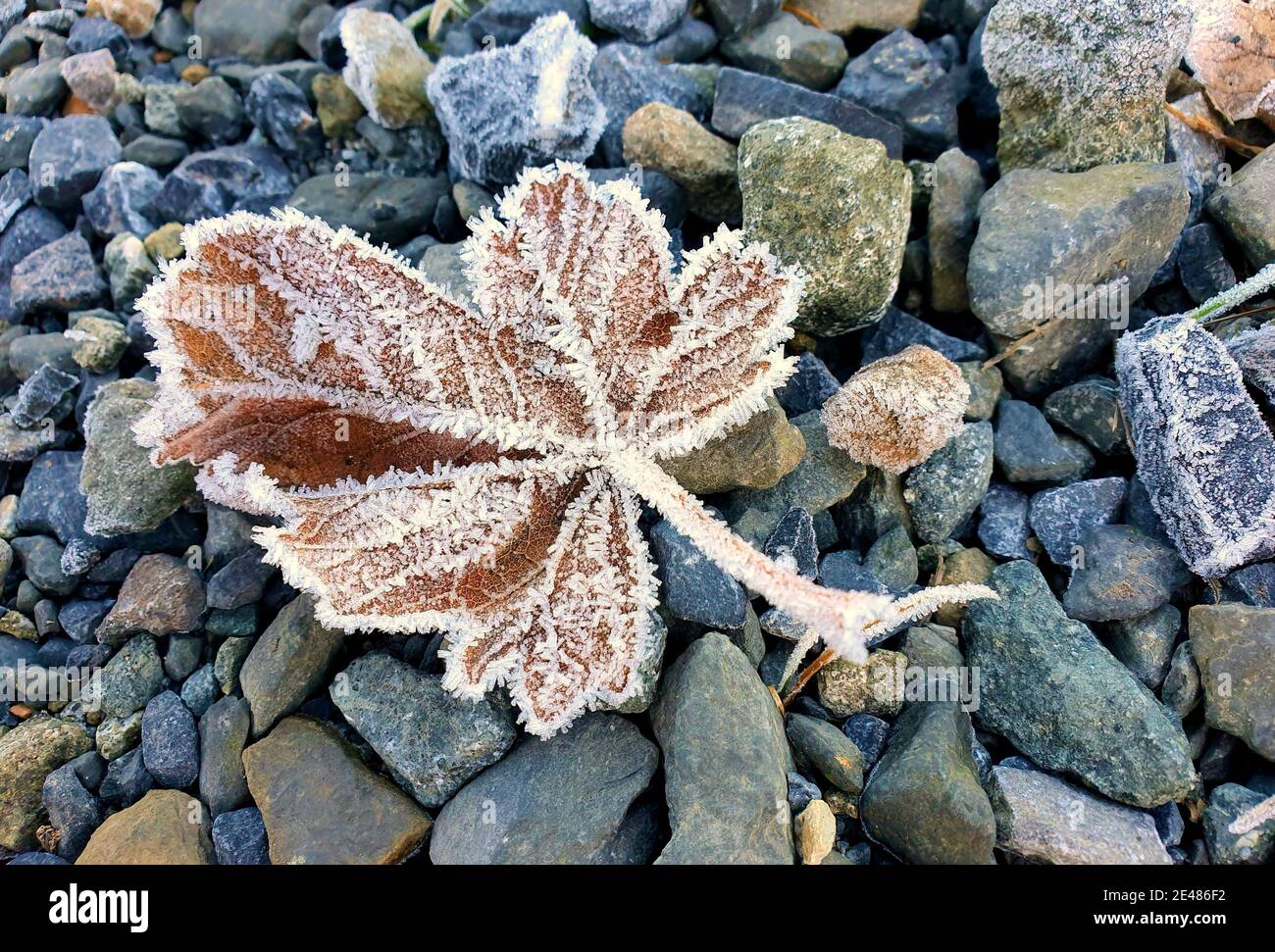 Stony ground hi-res stock photography and images - Alamy