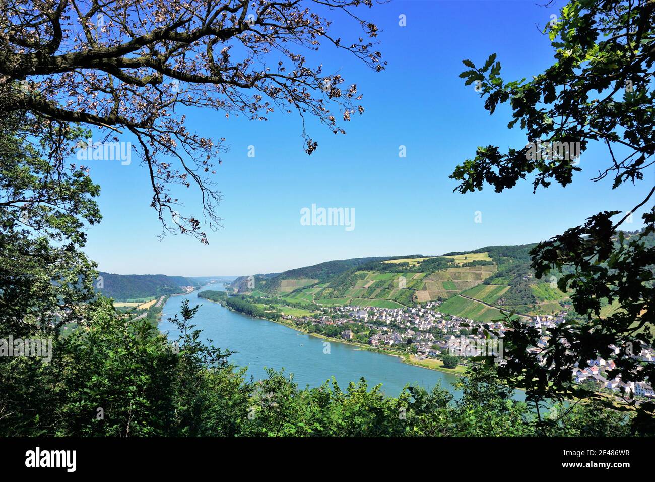 Rhine view hi-res stock photography and images - Alamy
