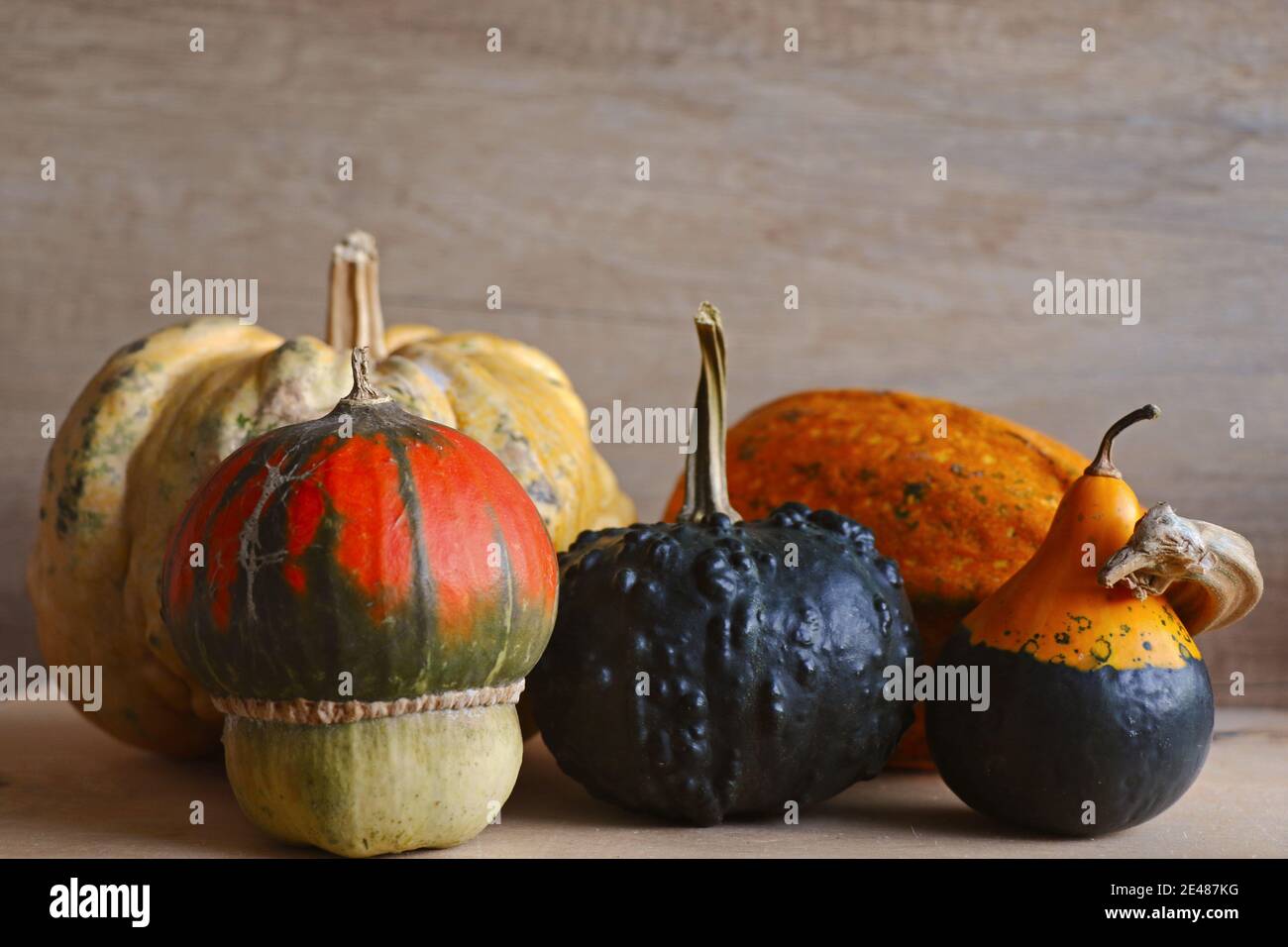 Colorful pumpkins with different sizes on the table with a blurred ...