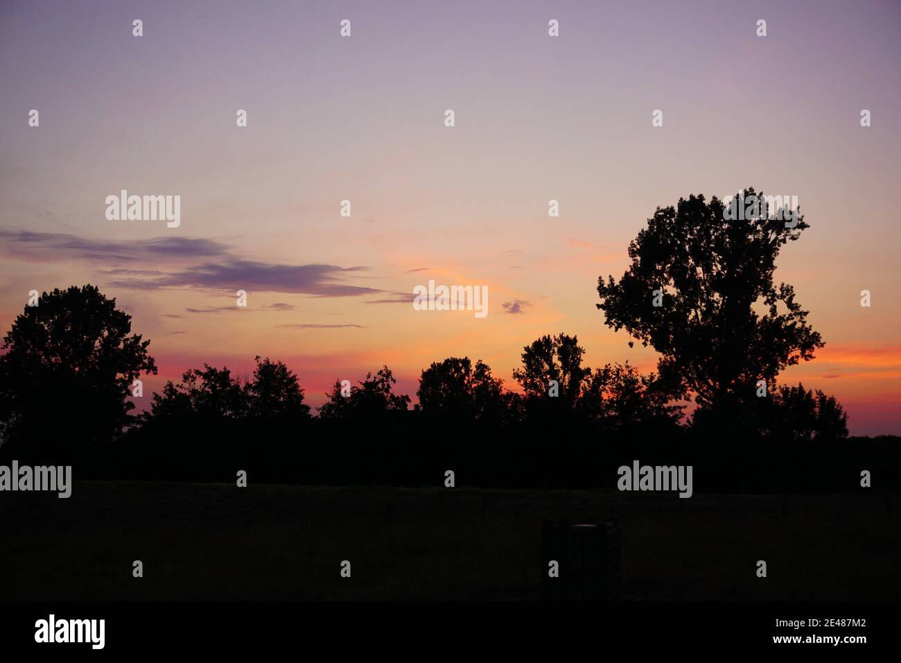 Colorful sunset with a dark silhouette of trees in the foreground Stock ...