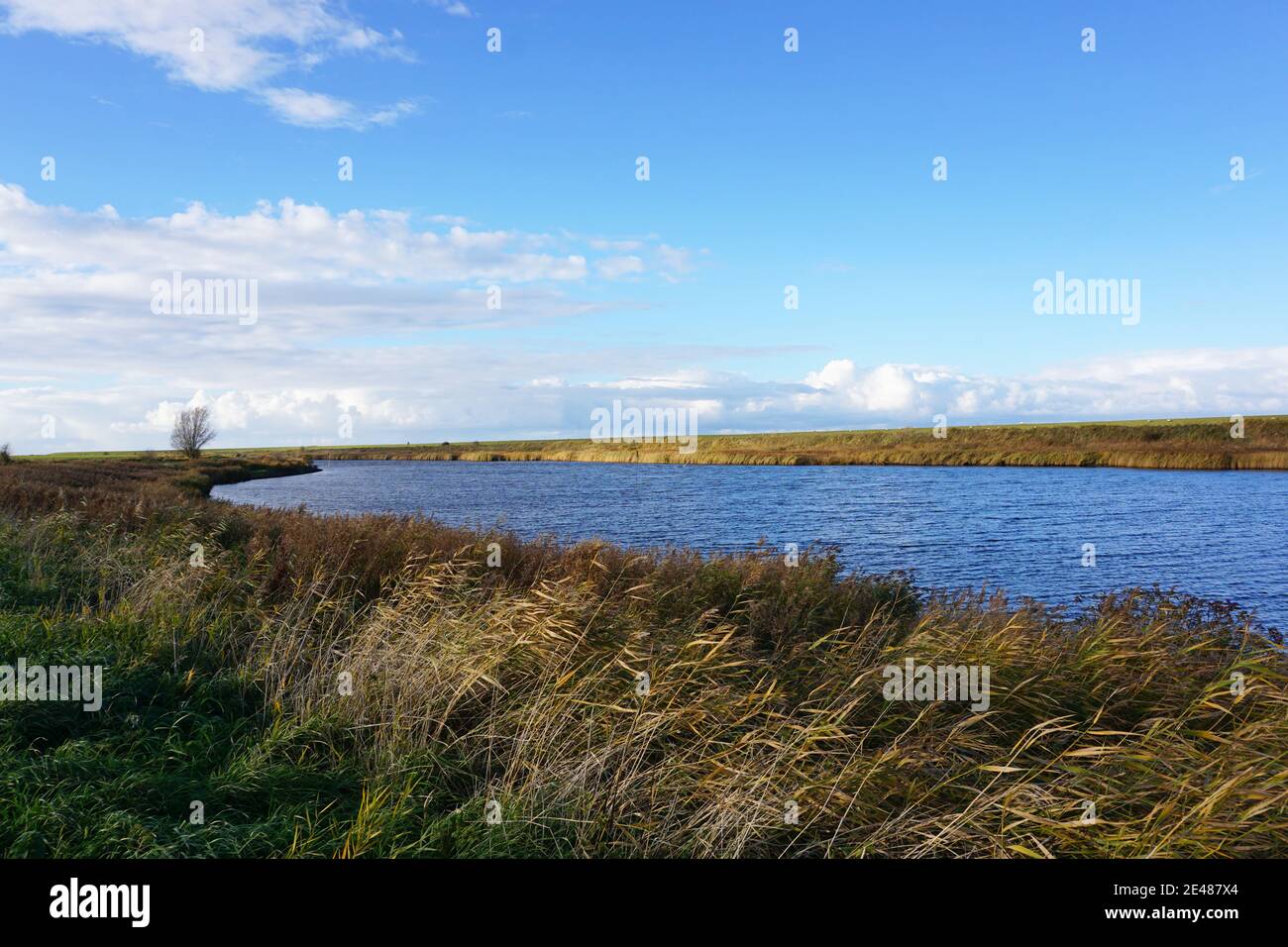 Coastal landscape on the German North Sea in winter. Blue sky in sunny ...