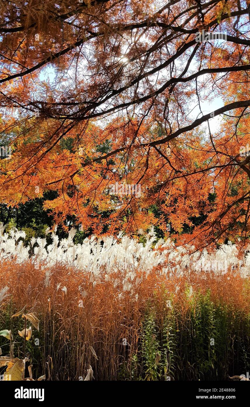 Colorful park hi-res stock photography and images - Alamy