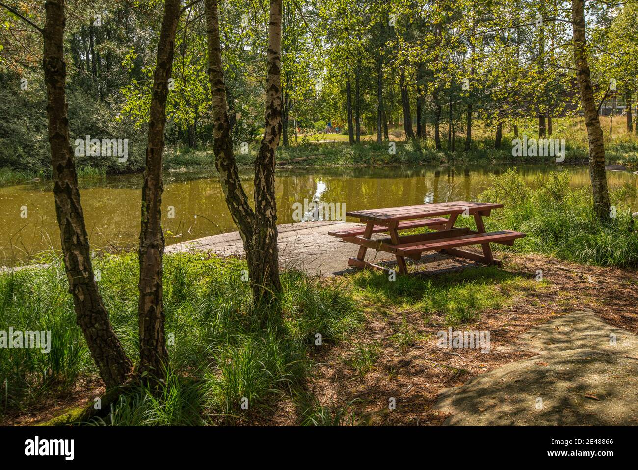 Park bench and table by a small pond Stock Photo - Alamy