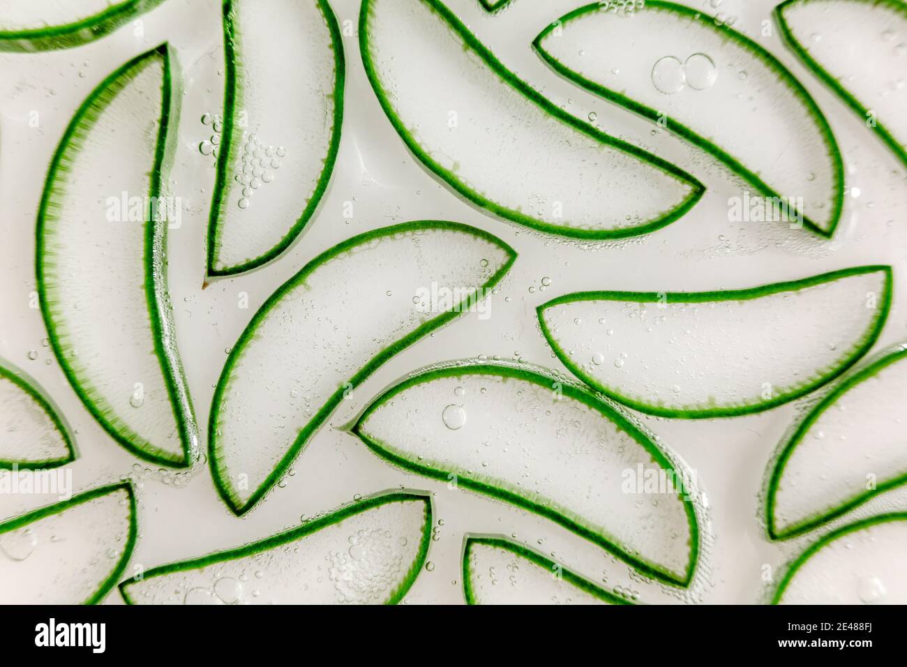 Aloe vera slice texture background. Medicinal plant. Used to treat and ...