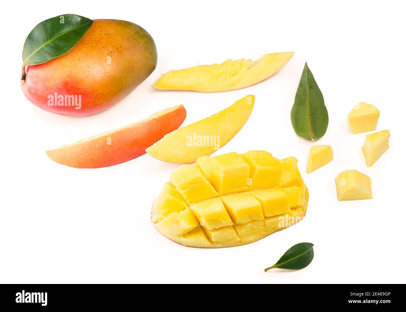 Mango leaf isolated on white background Stock Photo - Alamy