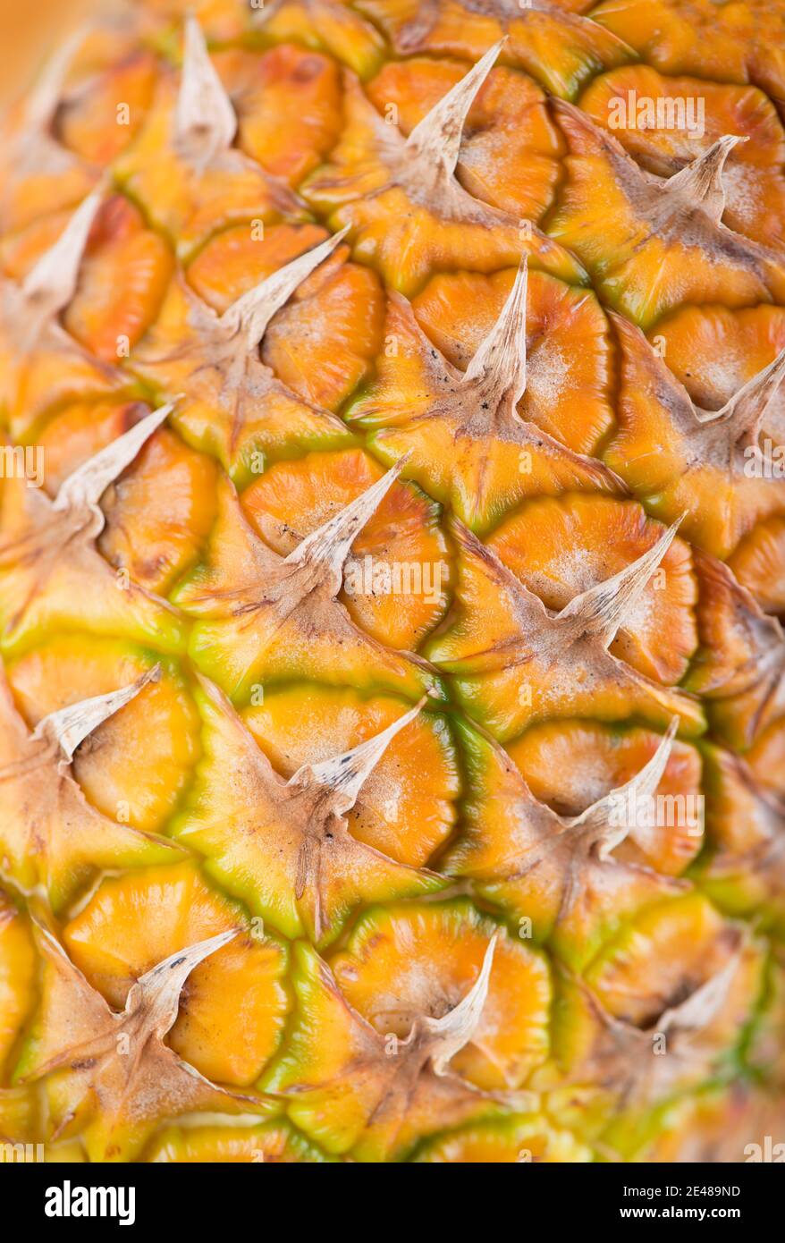 Ripe whole pineapple isolated on white Stock Photo - Alamy